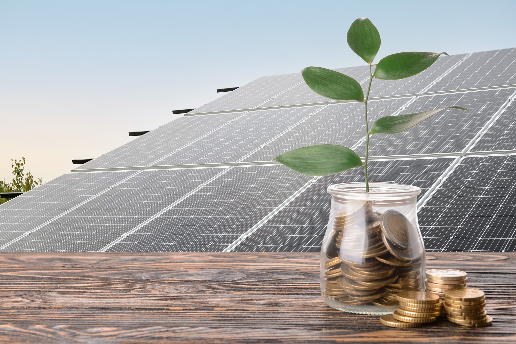 The Economic Benefits of Investing in Solar Energy | Cali Solar